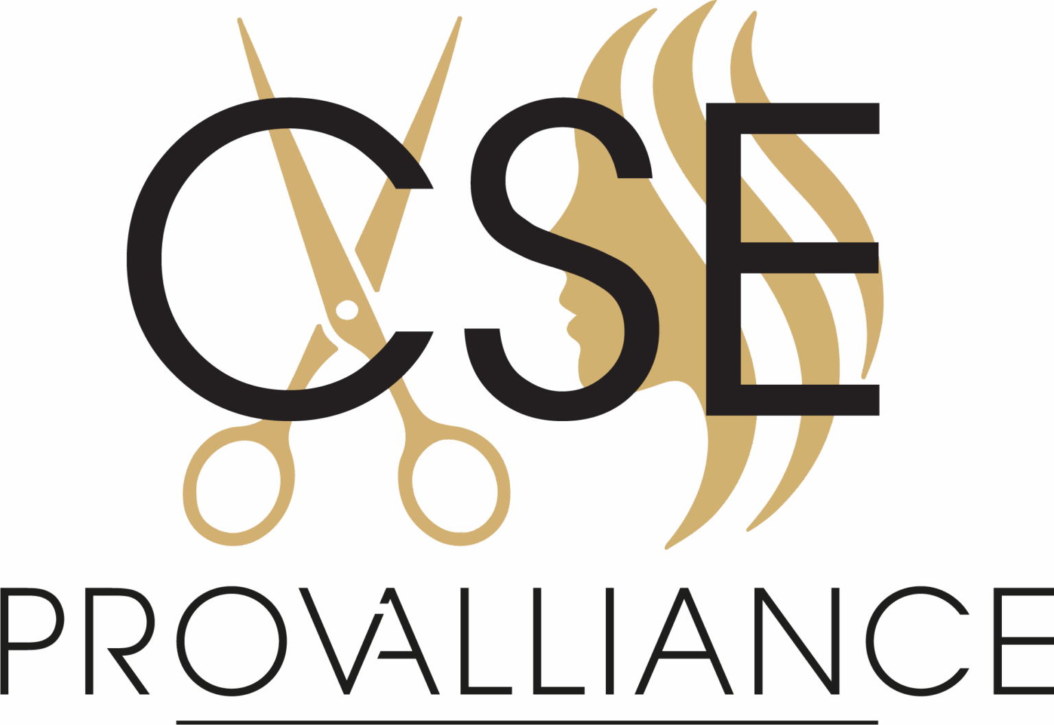 Connexion – CSE Provalliance